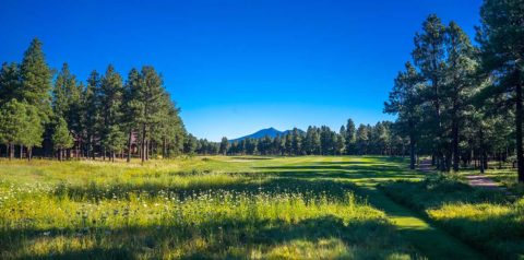 Meadow Course - Forest Highlands Golf Club